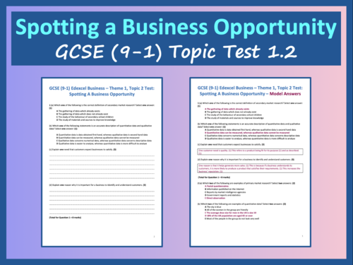Spotting a Business Opportunity Topic Test [1.2] - GCSE (9-1) Business ...