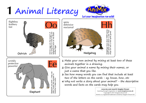 Animal Literacy 1 - drawing and story writing | Teaching Resources