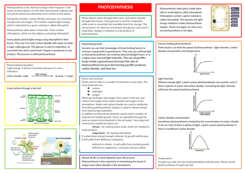 Biology Photosynthesis revision poster/knowledge organiser | Teaching ...