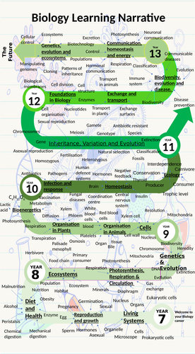 Secondary School Learning Narrative for science. ( learning journey ...