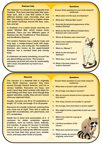 20 Animal Reading Comprehension Cards | Teaching Resources