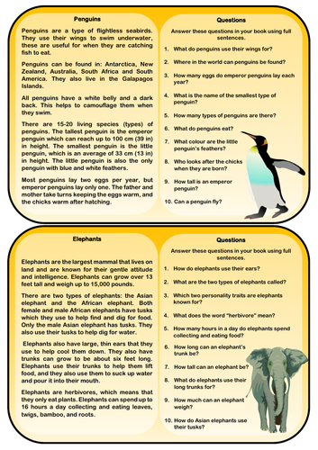 20 Animal Reading Comprehension Cards | Teaching Resources
