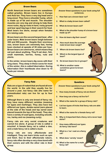 20 Animal Reading Comprehension Cards | Teaching Resources