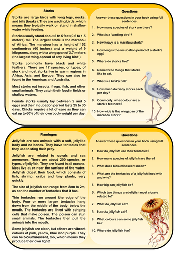 20 Animal Reading Comprehension Cards | Teaching Resources