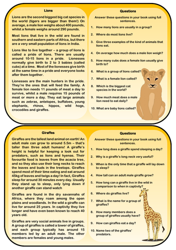 20 Animal Reading Comprehension Cards | Teaching Resources