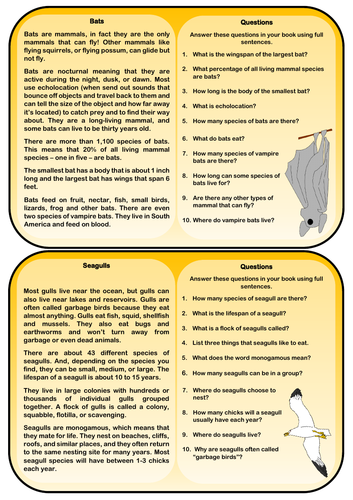 20 Animal Reading Comprehension Cards | Teaching Resources