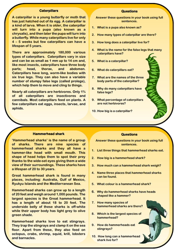 20 Animal Reading Comprehension Cards | Teaching Resources