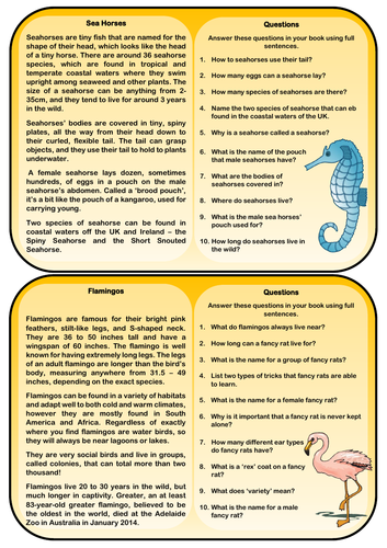 20 Animal Reading Comprehension Cards | Teaching Resources