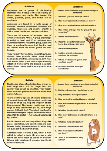 20 Animal Reading Comprehension Cards | Teaching Resources
