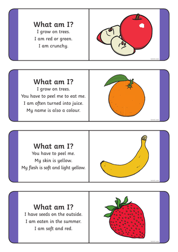 Year One full planning - Riddles writing bundle - Editable - animal ...