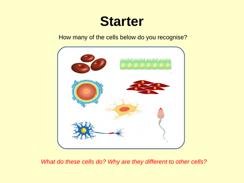AQA Biology GCSE Cell Biology | Teaching Resources