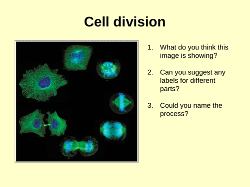 AQA Biology GCSE Cell Biology | Teaching Resources