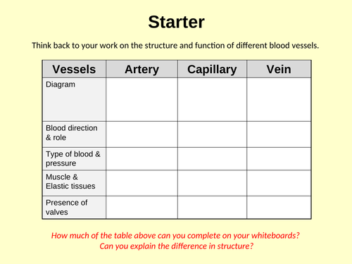 AQA Biology GCSE Organisation in Animals / Animal tissues, organs ...
