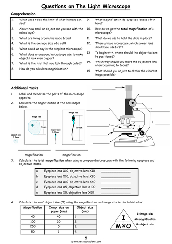 The Light Microscope: Seeing Cells | Teaching Resources