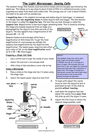 The Light Microscope: Seeing Cells | Teaching Resources