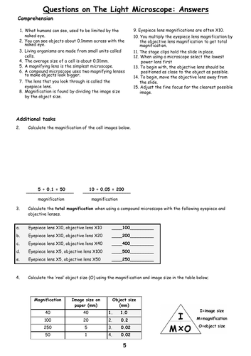 The Light Microscope: Seeing Cells | Teaching Resources