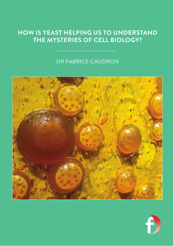 How can yeast help us to understand the mysteries of cell biology ...