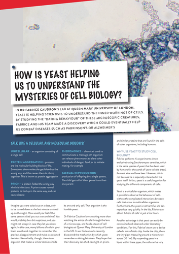 How can yeast help us to understand the mysteries of cell biology ...
