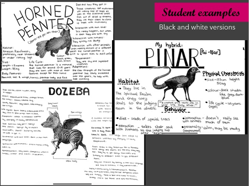 Hybrid Creature Design | Teaching Resources