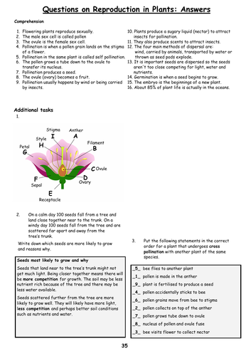 Reproduction in Plants | Teaching Resources