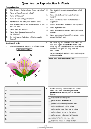 Reproduction in Plants | Teaching Resources
