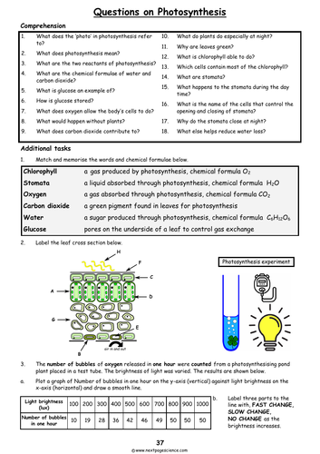 Photosynthesis | Teaching Resources