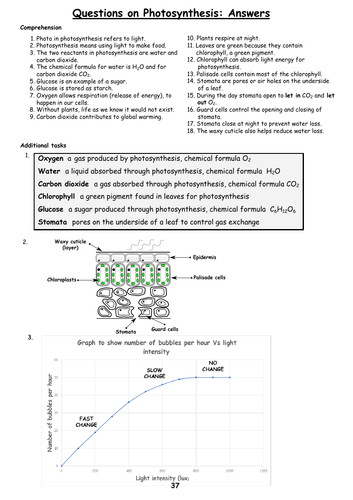 Photosynthesis | Teaching Resources