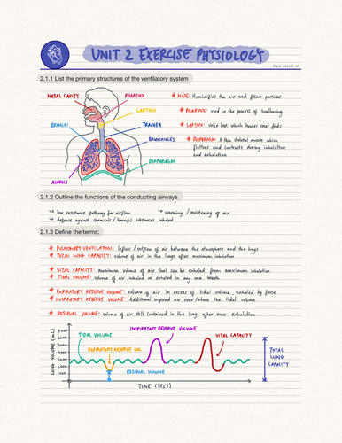 IB SEHS Revision Notes (SL) | Teaching Resources