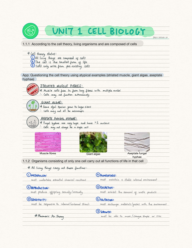 IB Biology Unit 1 Cell Biology (SL) | Teaching Resources
