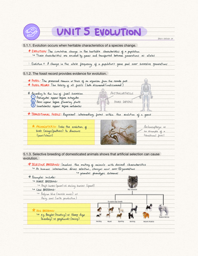 IB Biology Unit 5 Evolution (SL) | Teaching Resources