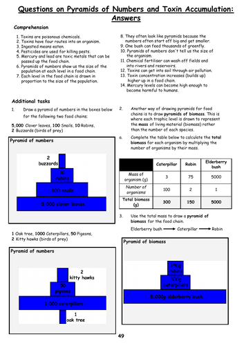Pyramids of Numbers and Toxins | Teaching Resources
