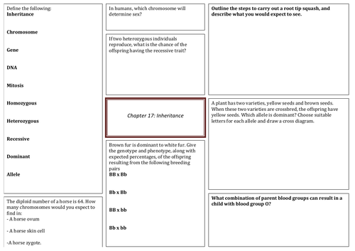 IGCSE Biology revision mats chapter 17-21 | Teaching Resources