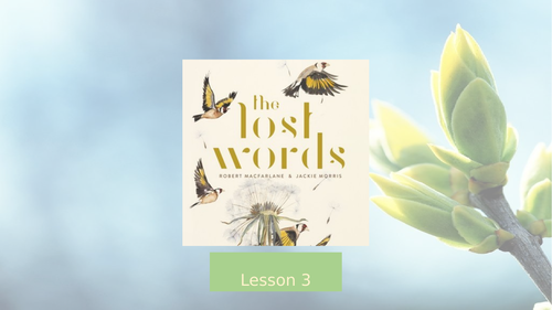 4 Weeks Unit of English Planning for Lost Words | Teaching Resources