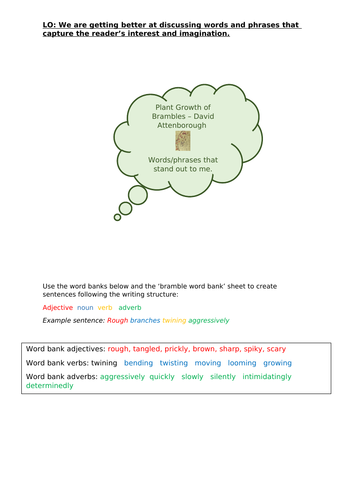 4 Weeks Unit of English Planning for Lost Words | Teaching Resources