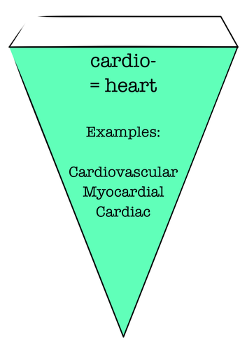 Root Word Bunting (Biology/Science) | Teaching Resources