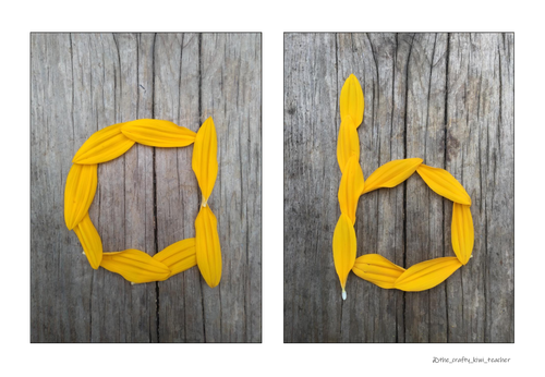 Sunflower nature alphabet | Teaching Resources