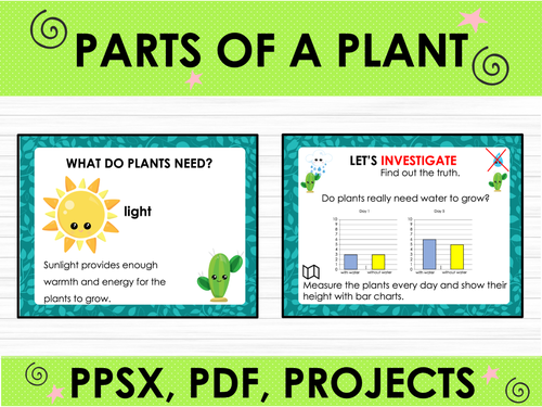 Parts of a plant: Science elementary | Teaching Resources