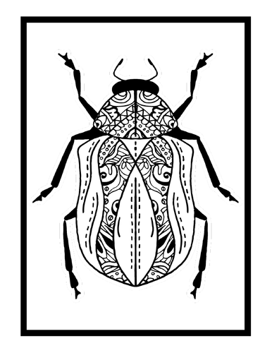 Insects & Bugs Mandala Colouring Pages, Biology Class Colouring For ...