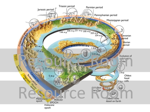 A history of life on Earth, Earth's story, Evolution, Life on Earth ...