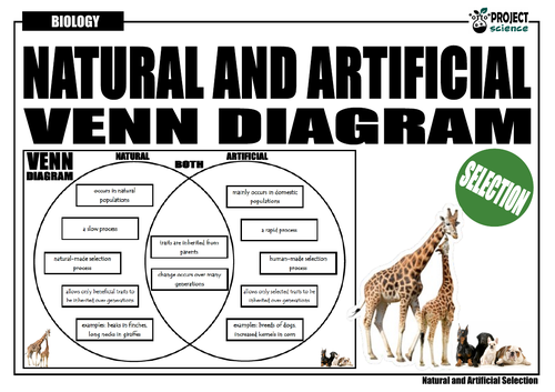 Natural and Artificial Selection Venn Diagram | Teaching Resources