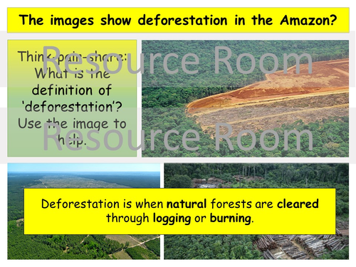 Rainforests at risk, Deforestation, The Amazon | Teaching Resources