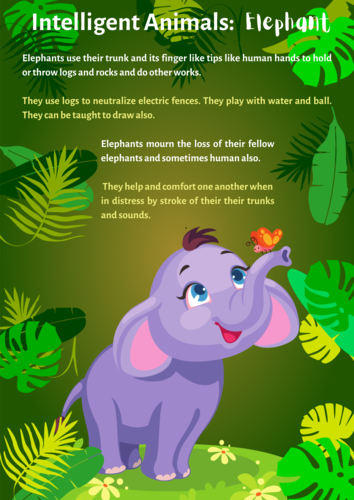 Intelligent Animals | Teaching Resources