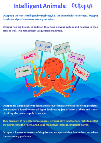 Intelligent Animals | Teaching Resources