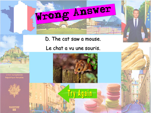 French Quiz | Teaching Resources