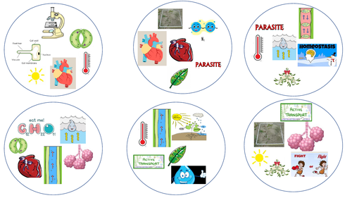 Edexcel combined science biology paper 2 dobble | Teaching Resources