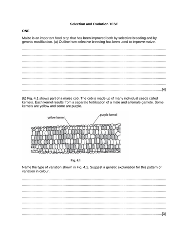 Biology A2 Level (CIE) End of Topic Tests - full set | Teaching Resources
