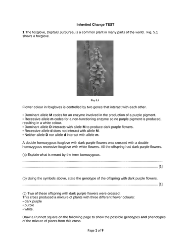 Biology A2 Level (CIE) End of Topic Tests - full set | Teaching Resources