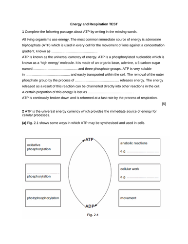 Biology A2 Level (CIE) End of Topic Tests - full set | Teaching Resources
