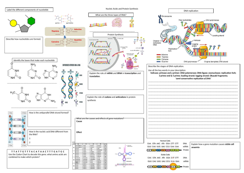 Biology AS Level (CIE) Revision Mats - selected topics | Teaching Resources
