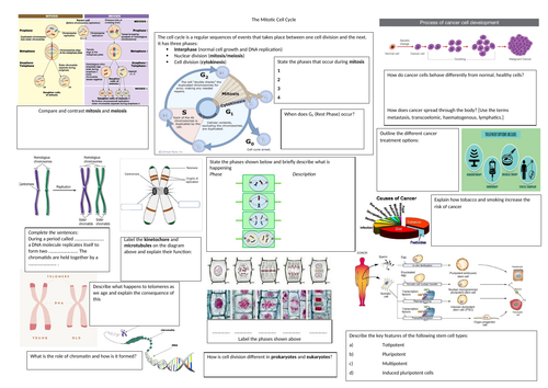 Biology AS Level (CIE) Revision Mats - selected topics | Teaching Resources
